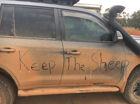 Farmers rally in Perth to protest banning of live sheep exports ...